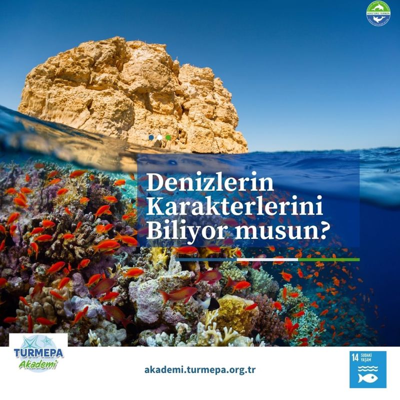 Karadeniz Tuzluluk oranı %16-22 arasında değişir. Yaz aylarında yüzey ...