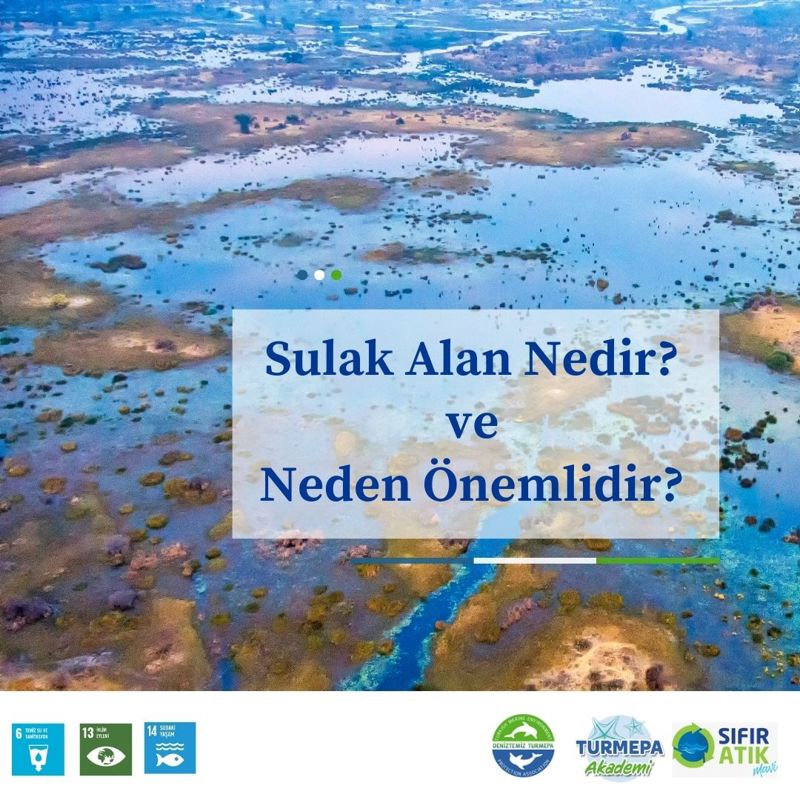 Sulak Alan Nedir ve Neden Önemlidir? Sulak alanlar, suyun varlığının ...